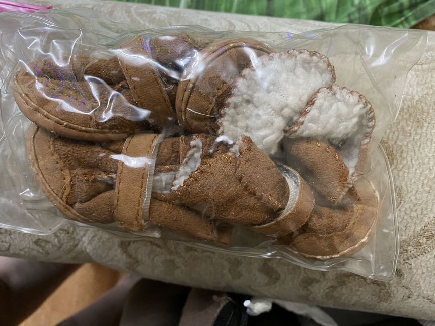 Обувь для собак