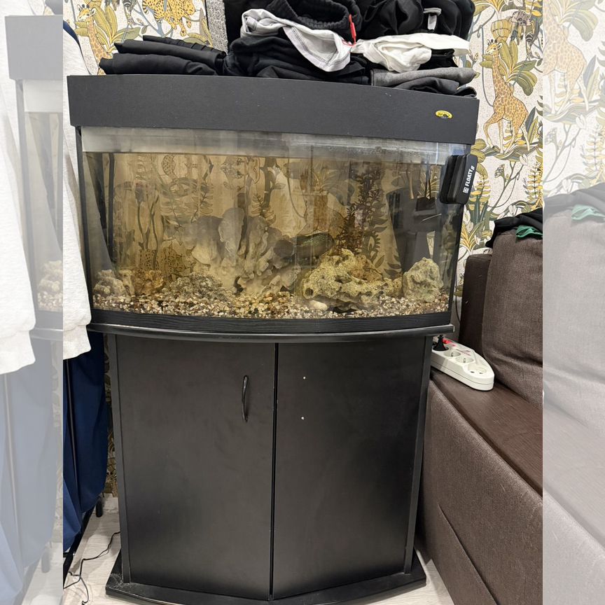 Аквариум рыбы