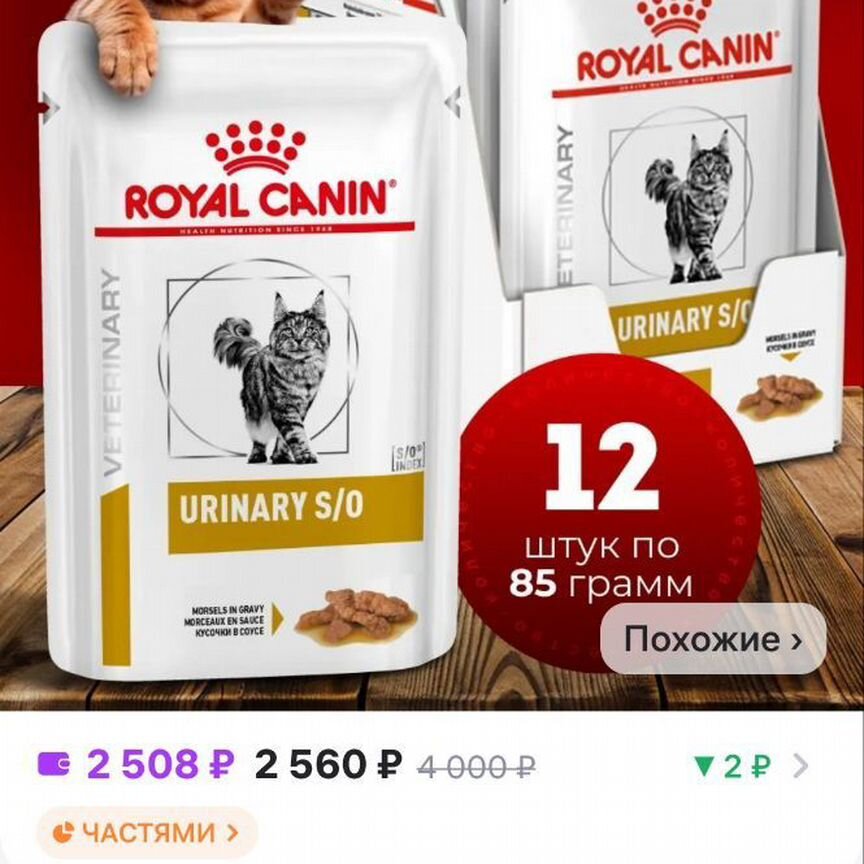 Влажный корм для кошек royal canin
