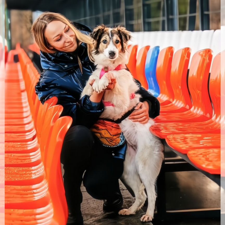 Щенок в добрые руки