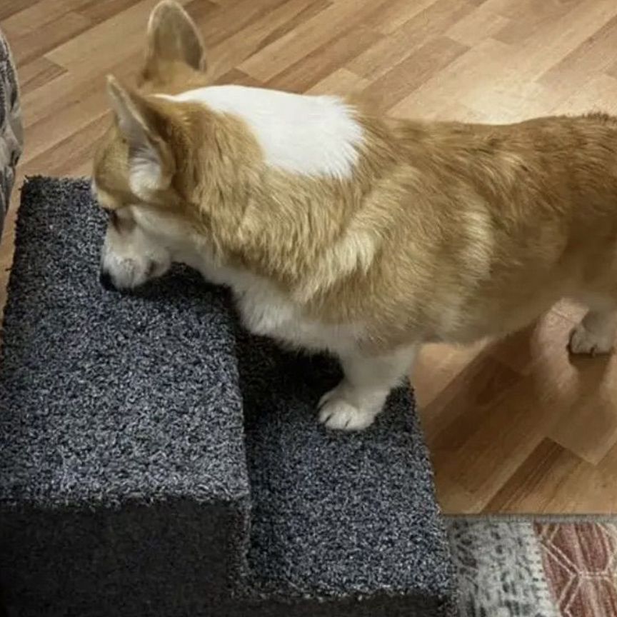 Продам лесенку для собаки