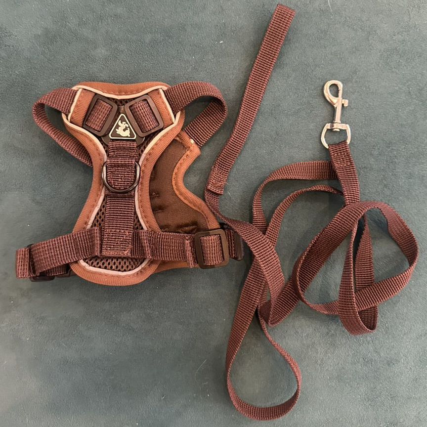 Шлейка для собак мелких пород