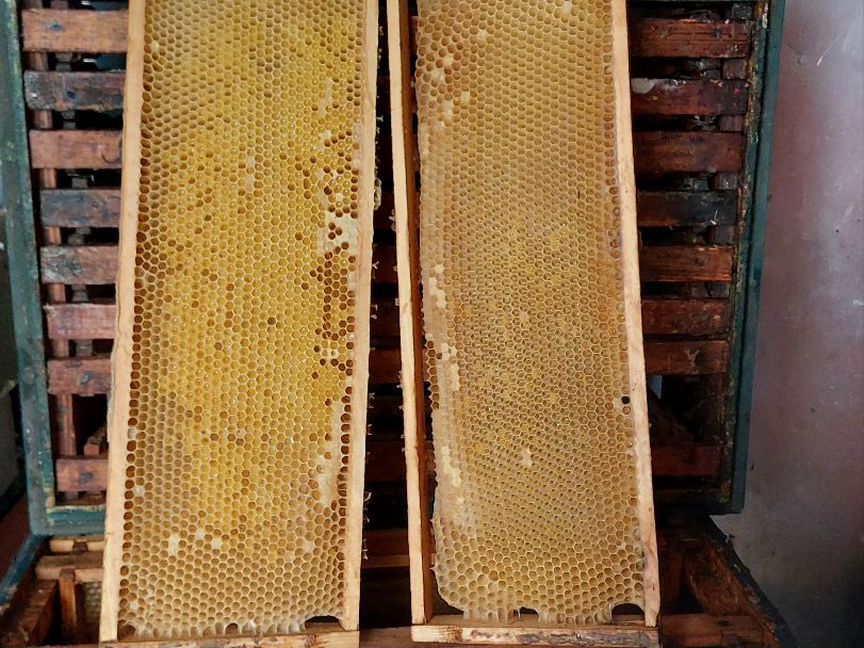 Сушь для пчел