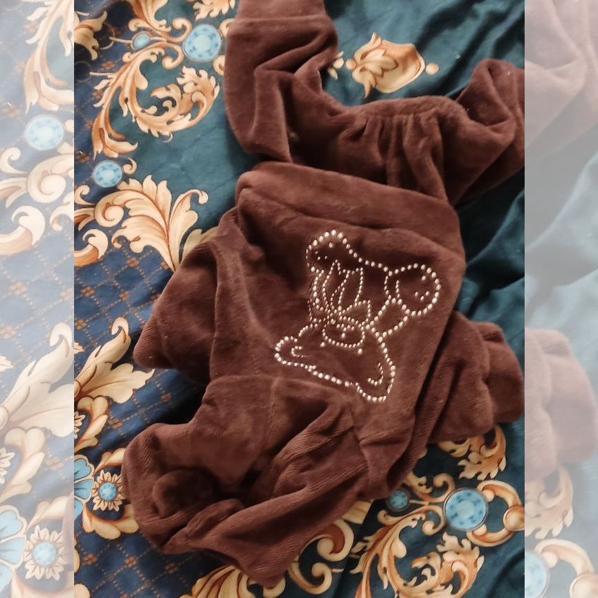 Вещи для маленьких собак