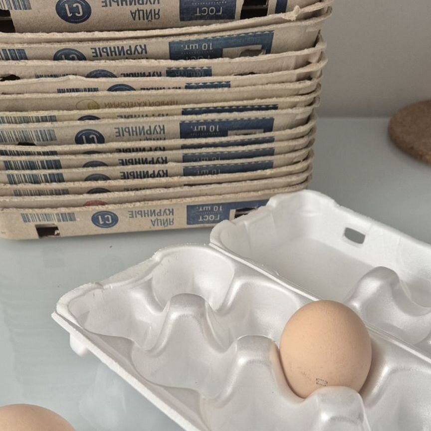 Лоток для куриных яиц