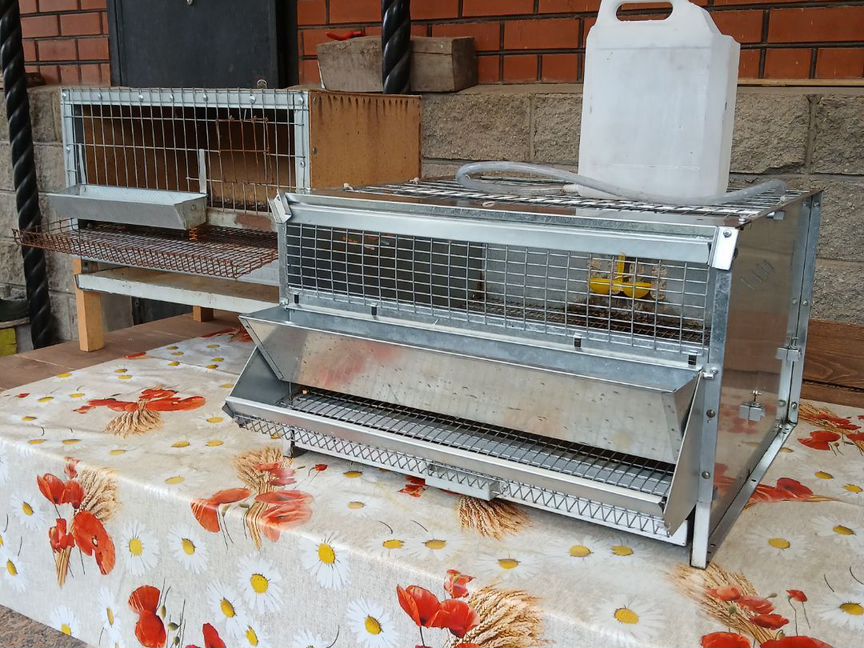 Клетки для перепелов бу