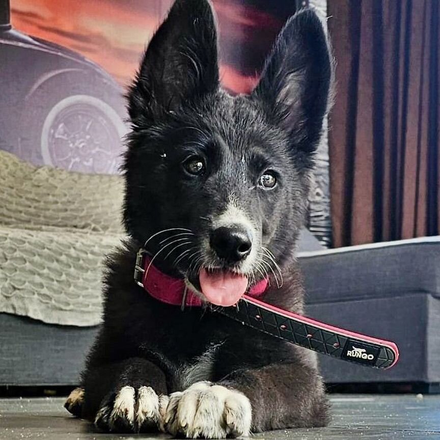 В ответсвенные руки