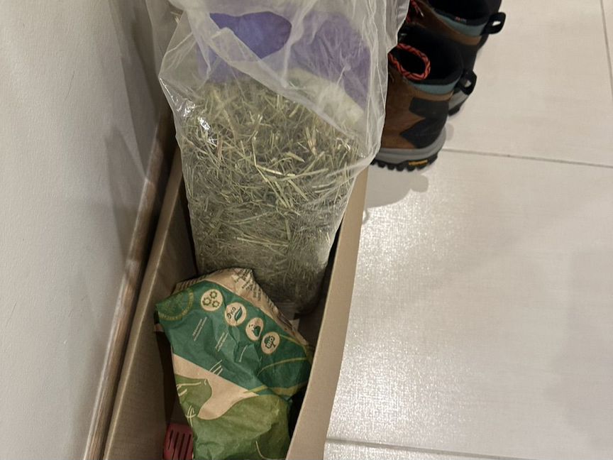 Стафф для хомяка, морской свинки и тп