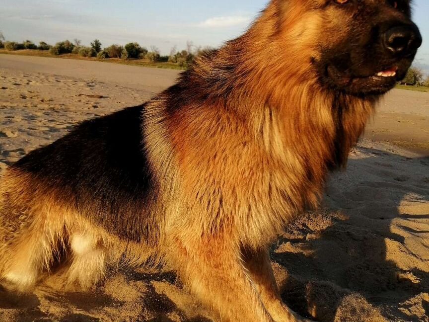 Приглашаем невесту на свидание