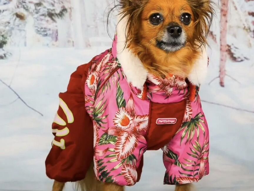 Зимний комбинезон для собак ForMyDogs