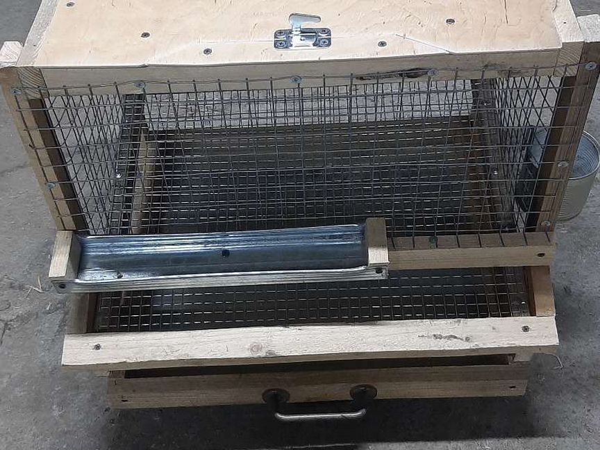 Клетки для перепёлок