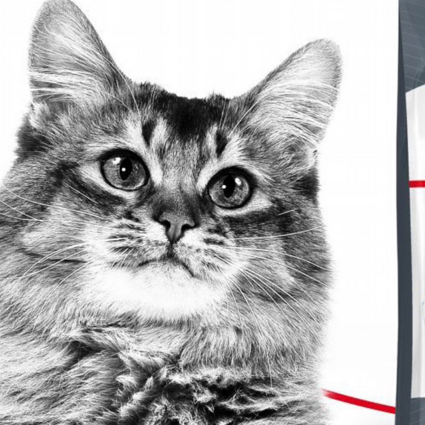Сухой корм для кошек Royal Canin Light Weight Care
