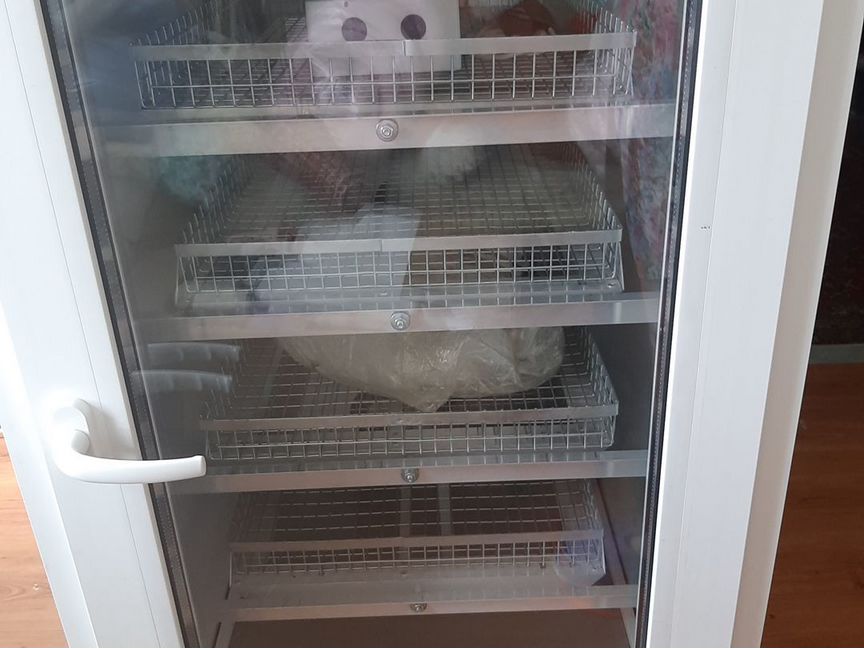 Инкубатор