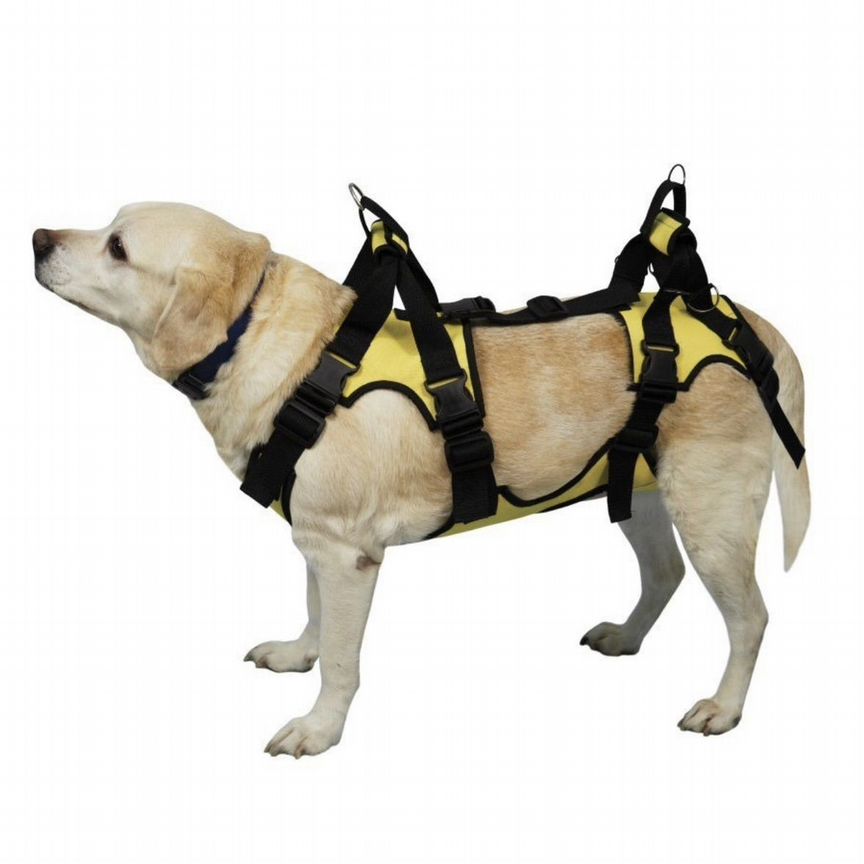 Поддержка для собак ходунки для собак