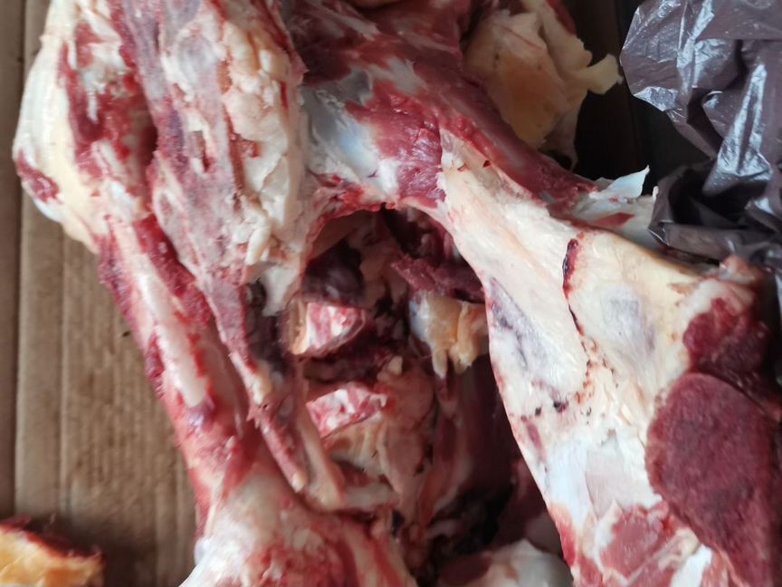 Мясо и кости для собак