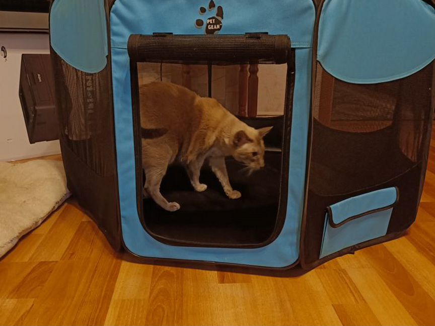 Манеж - тент Pet Gear