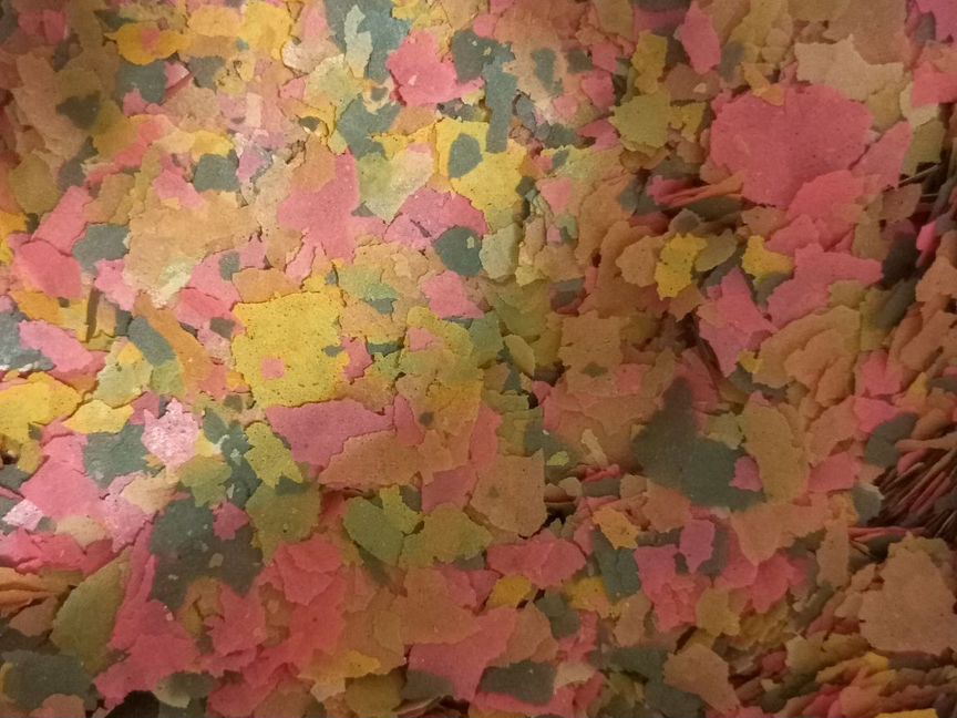Корм для рыбок Tetra Wafer Mix и Min XL Flakes