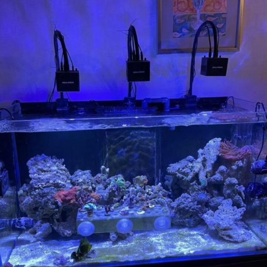 Светильник морской Aqua medic qube 50