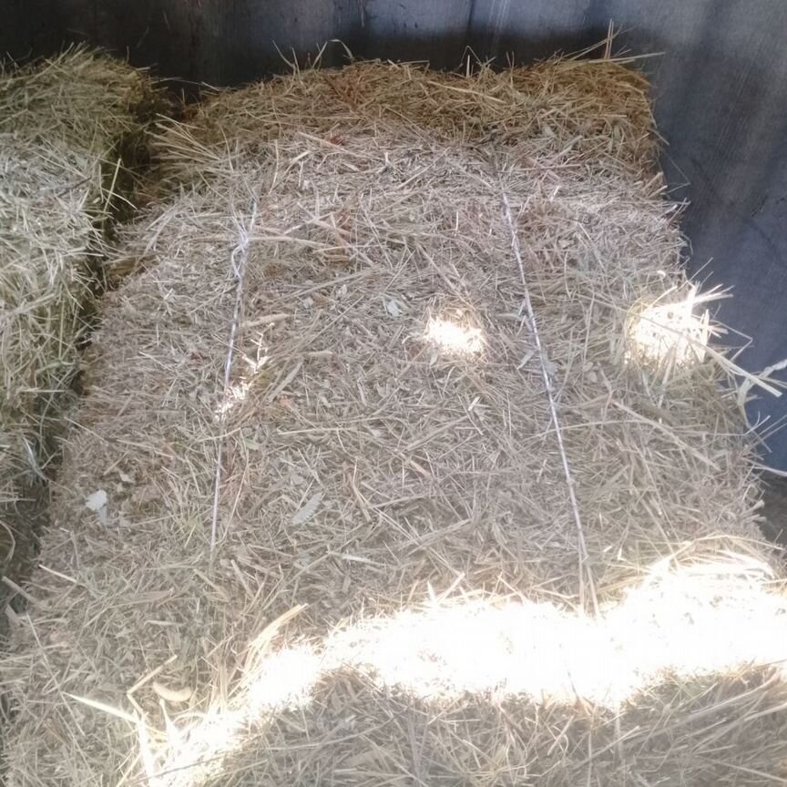 Сено в тюках
