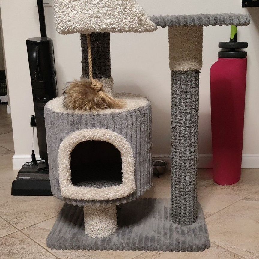 Когтеточка домик для кошки бу