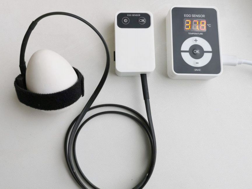 Датчик температуры яйца "EGG sensor"