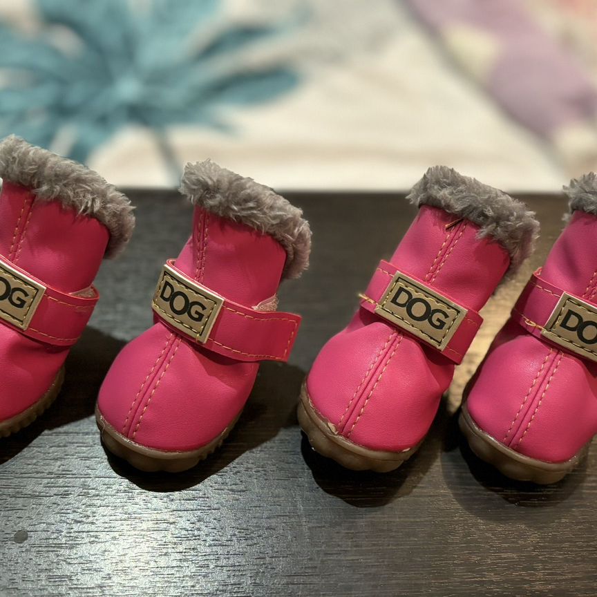 Ботинки для маленьких собак