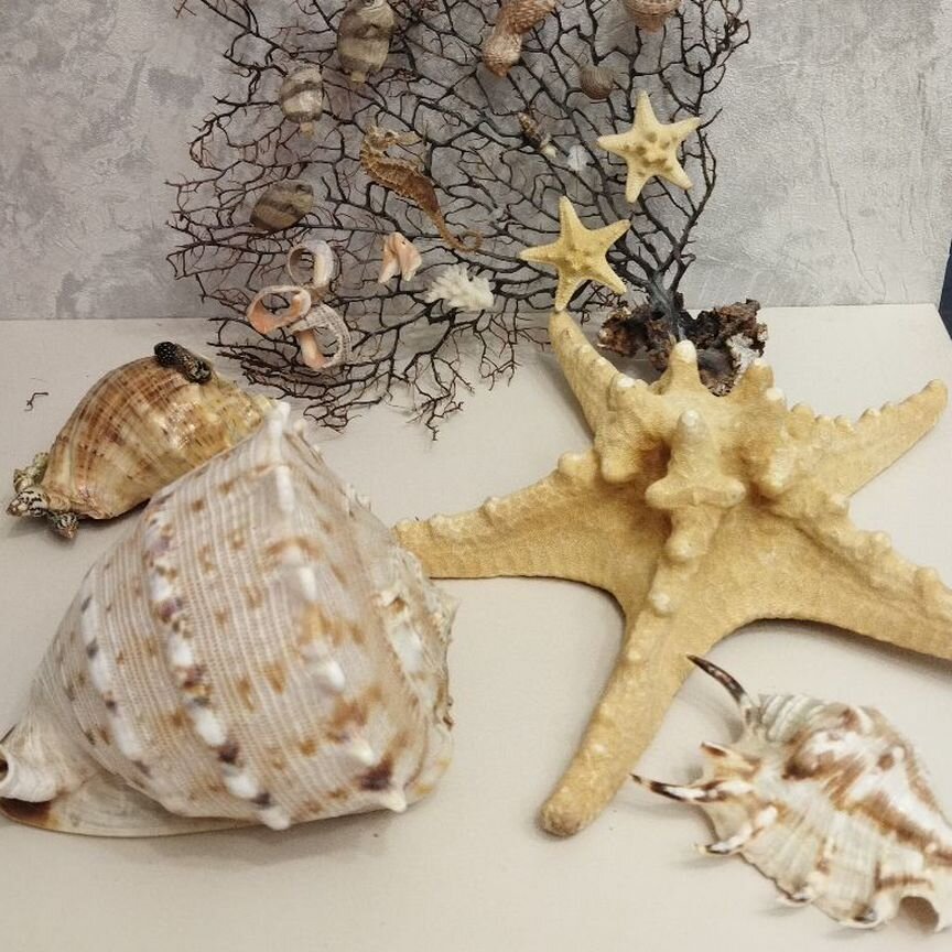 Набор для красоты или для аквариума