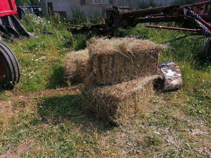 Сено луговое в тюках