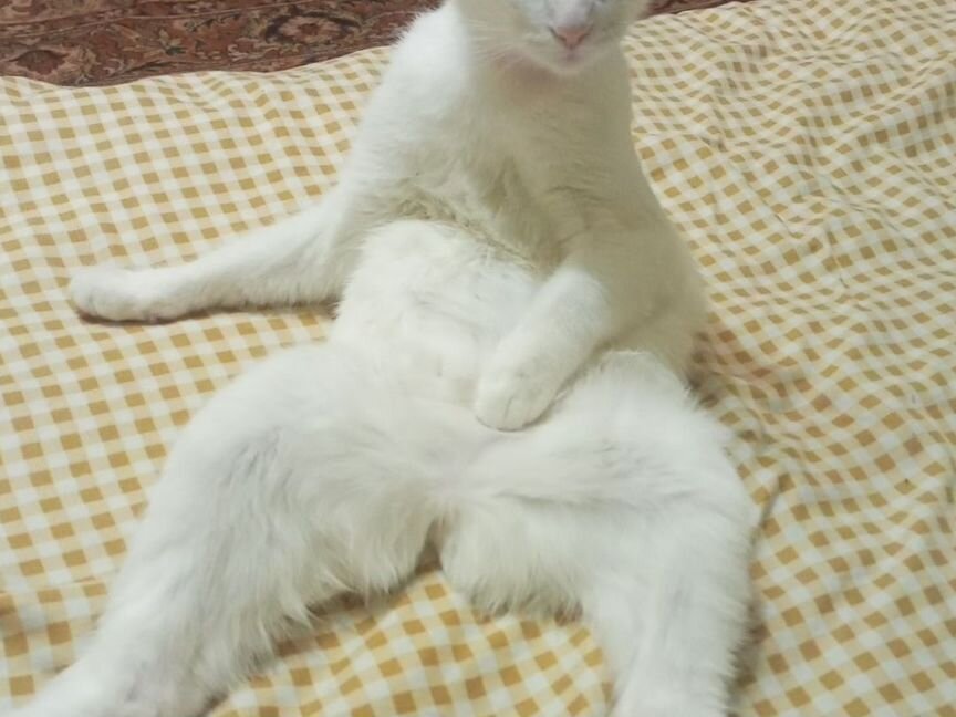 Малышка Маруся