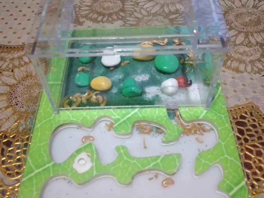 Муравьиная ферма без муравьев