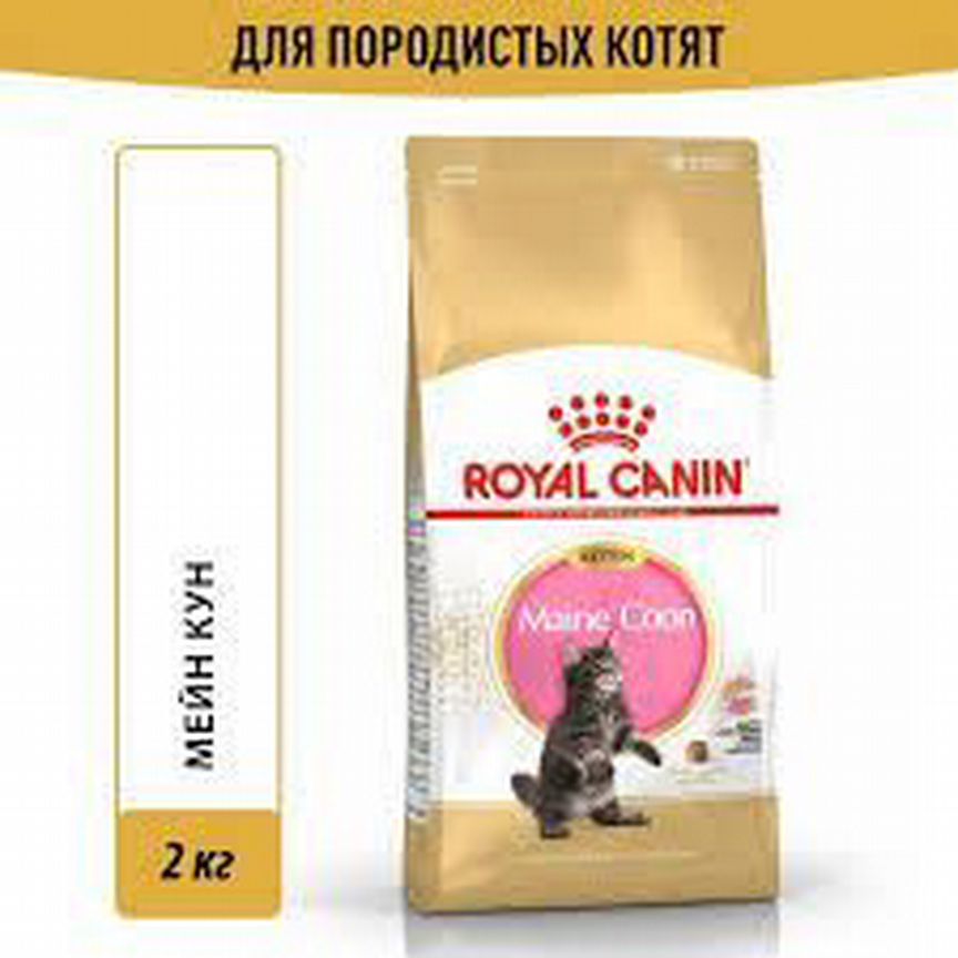 Royal Canin Kitten Maine Coon для котят Мейн-кун