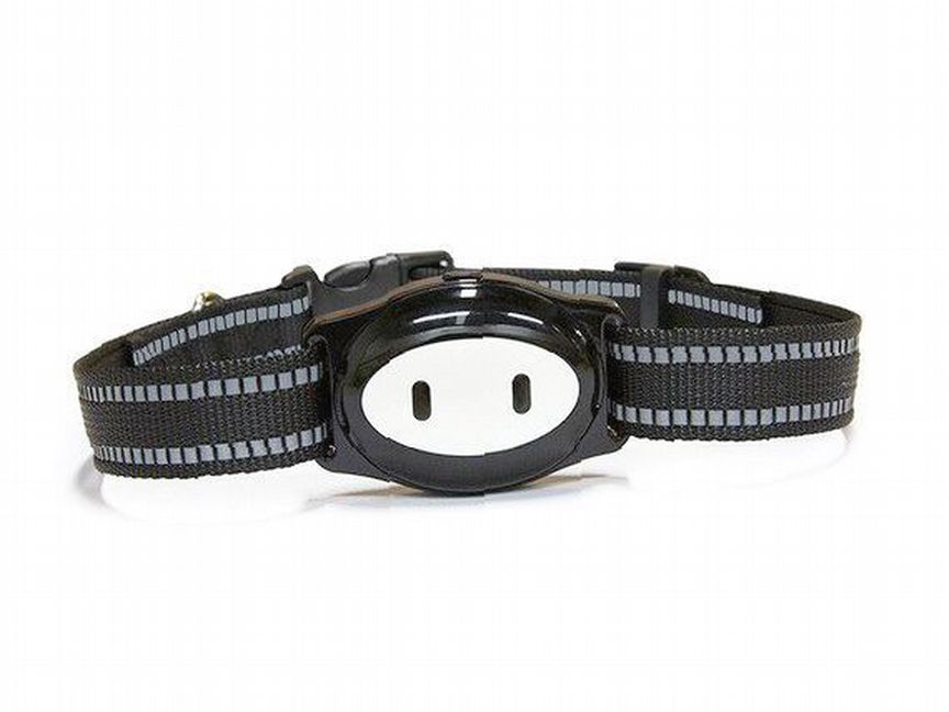 Ошейник с GPS трекером