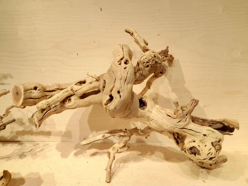 Коряги