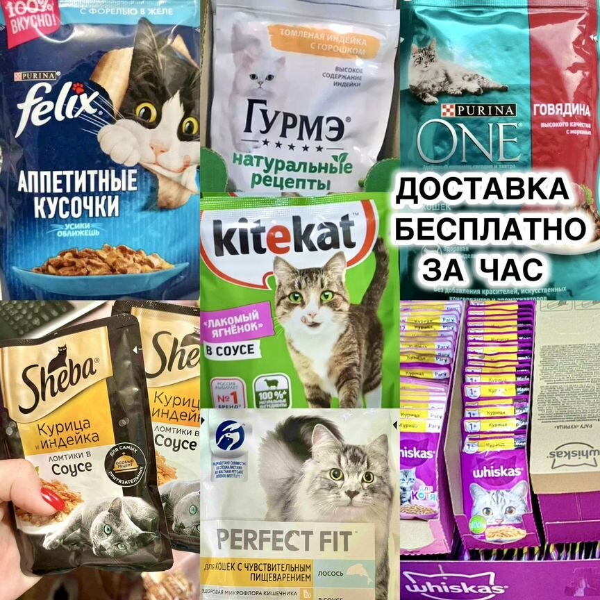 Влажный корм для кошек whiskas kitekat sheba felix