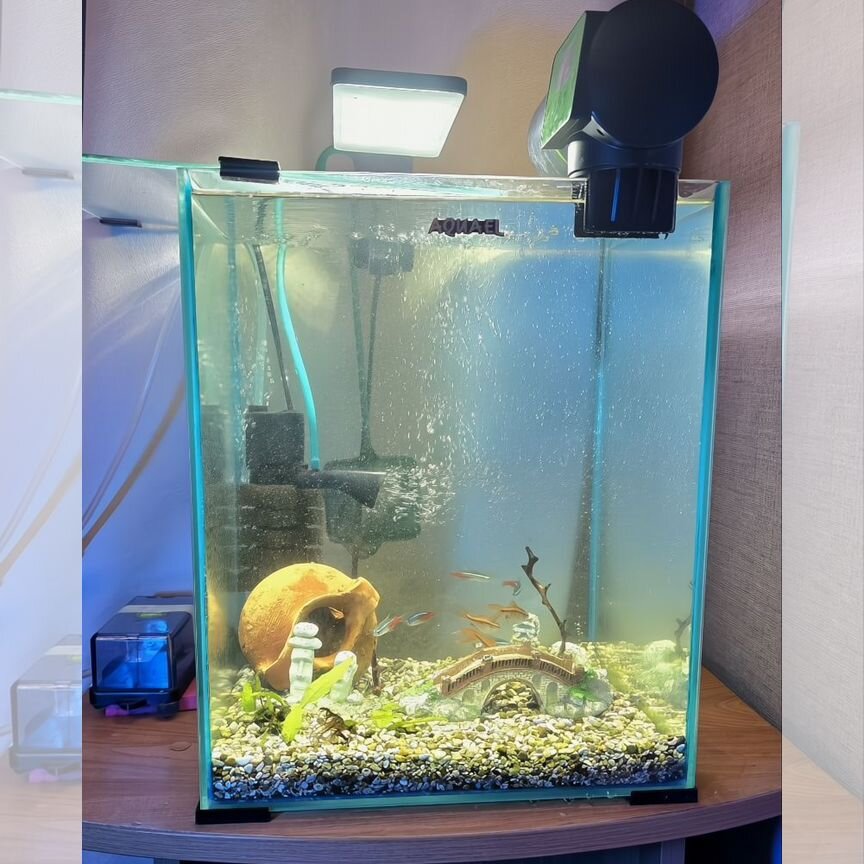 Аквариум aquael 30л с тумбой и оборудованием