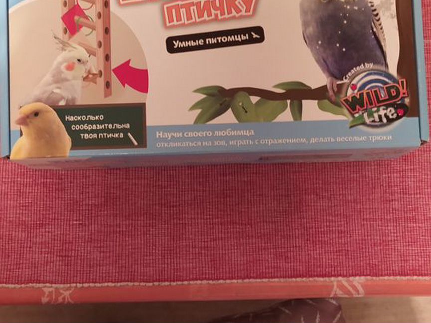 Набор "Как дрессировать попугая"