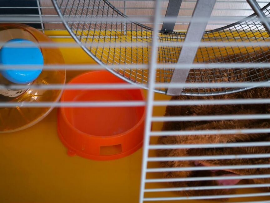 Клетка для грызунов