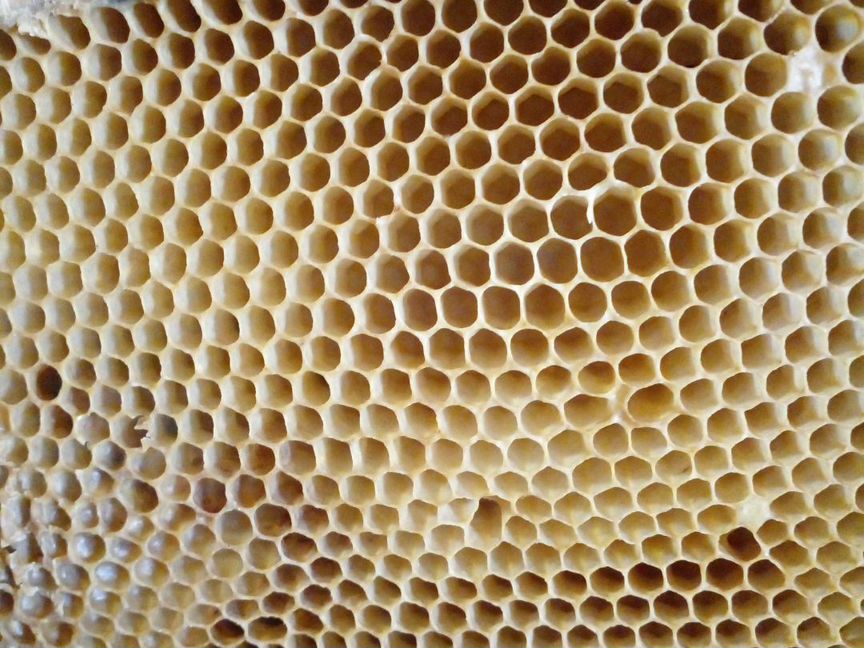 Сушь для пчел, магазины для ульев