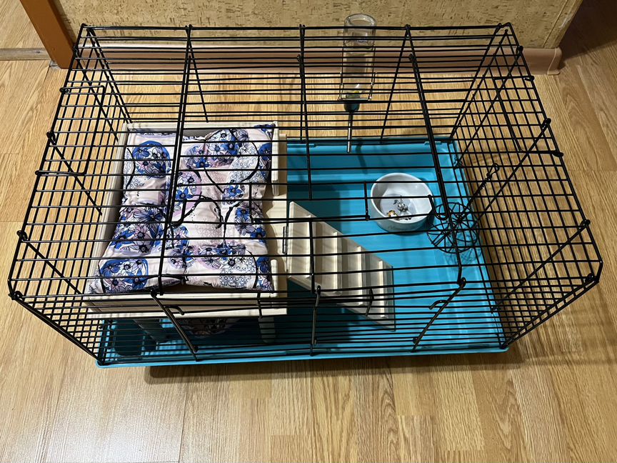 Клетка для грызунов большая+ всё наполнение