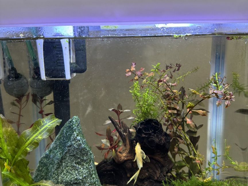 Аквариум 9 литров