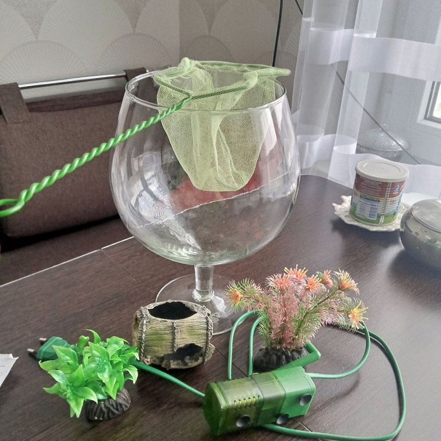 Мини аквариум