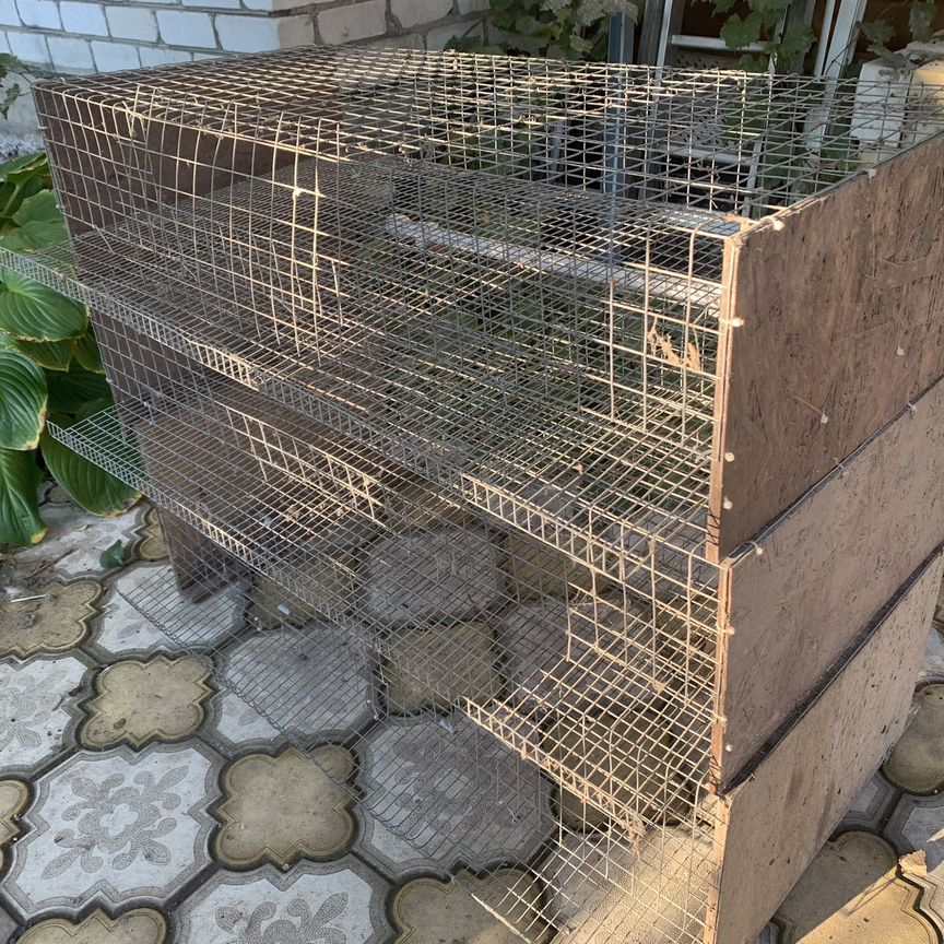 Клетка для перепелов