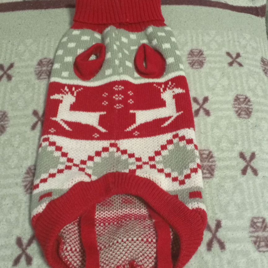 Одежда для кошек