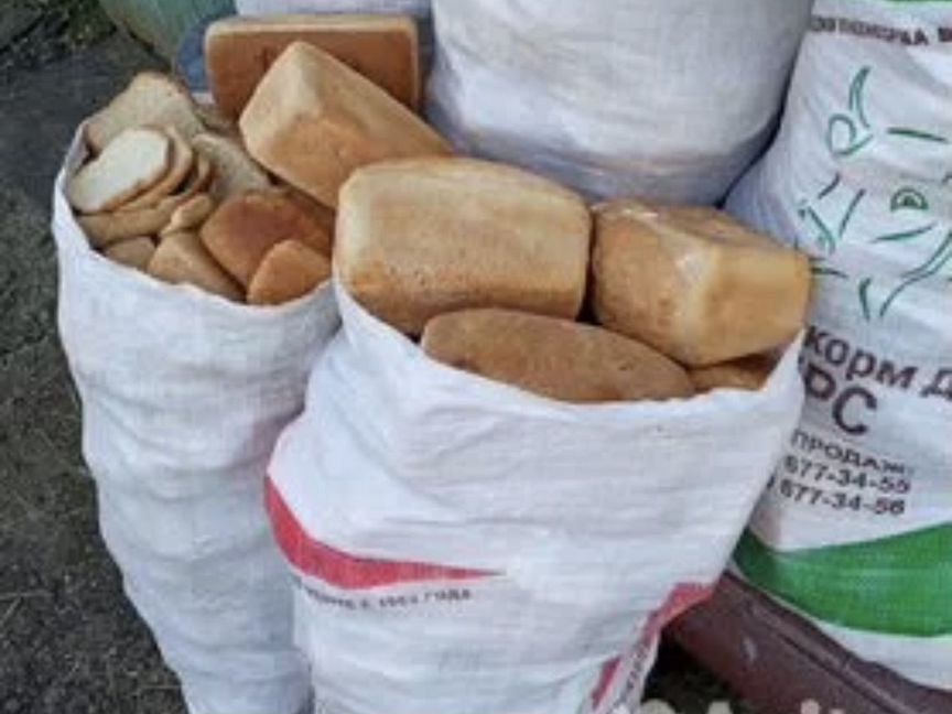 Хлеб для животных