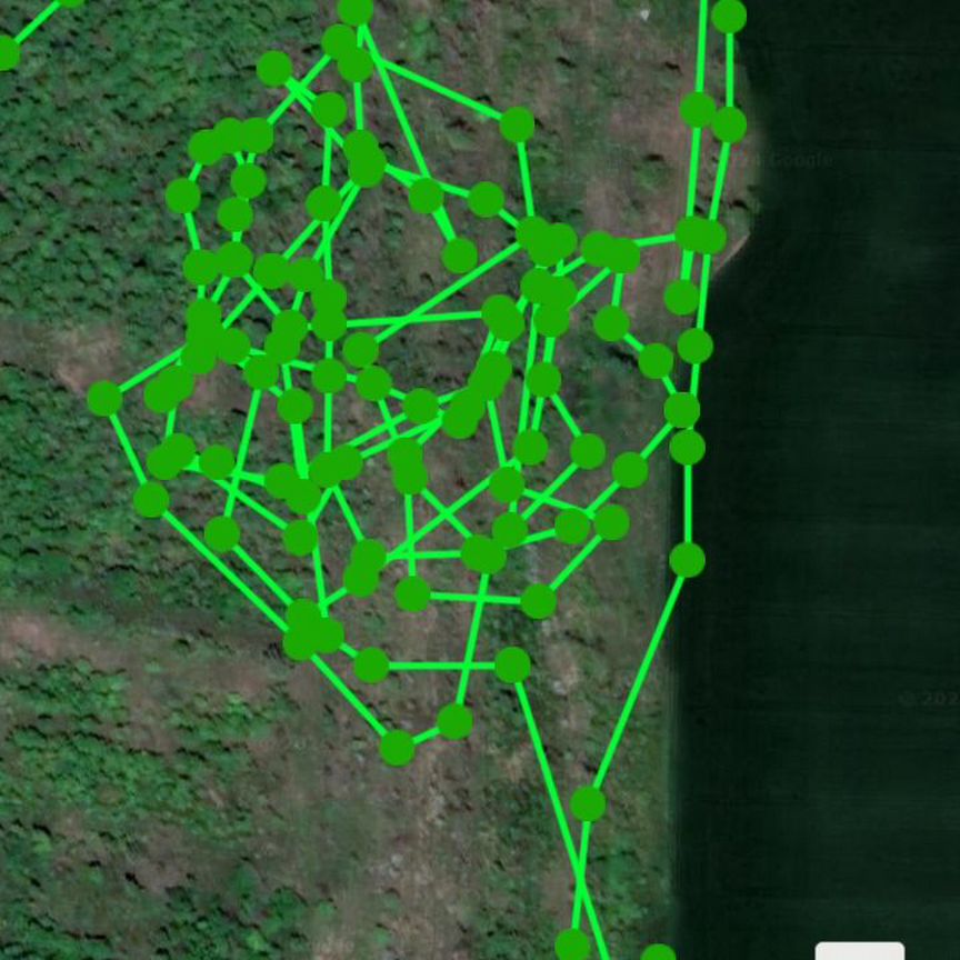 Эстонская гончая