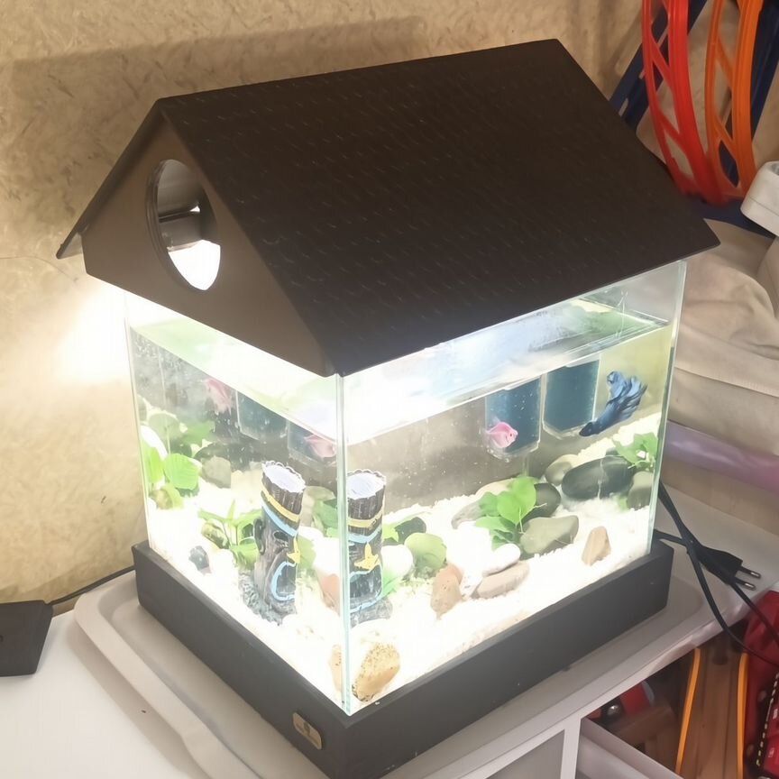 Аквариум бу с рыбками