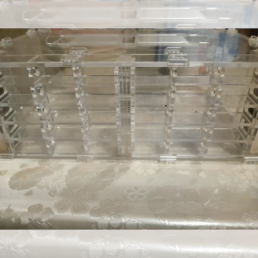 Формикарий для муравьев