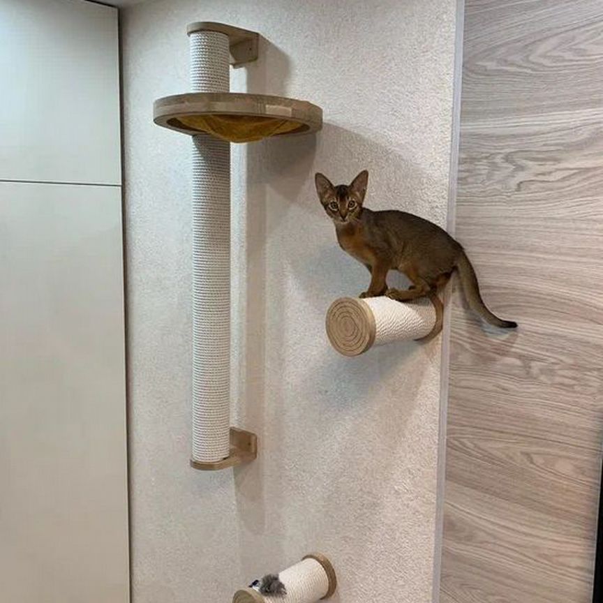 Когтеточка домик для кошки