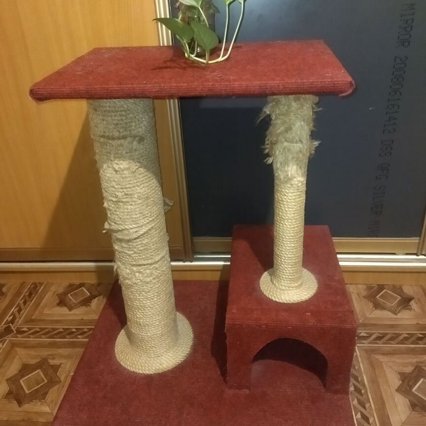 Когтеточка