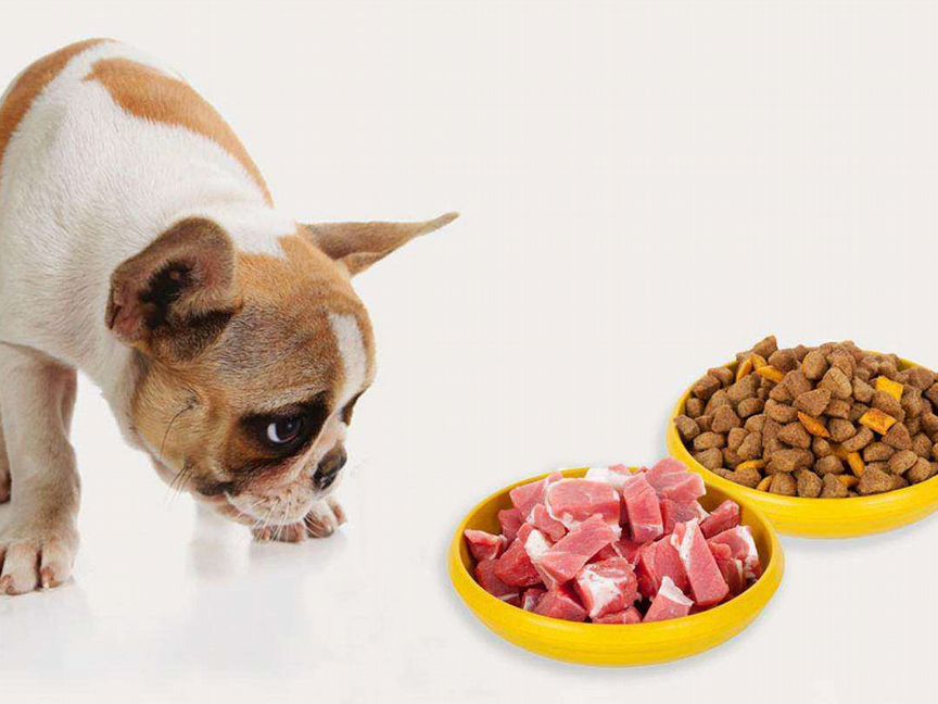 Корма для животных